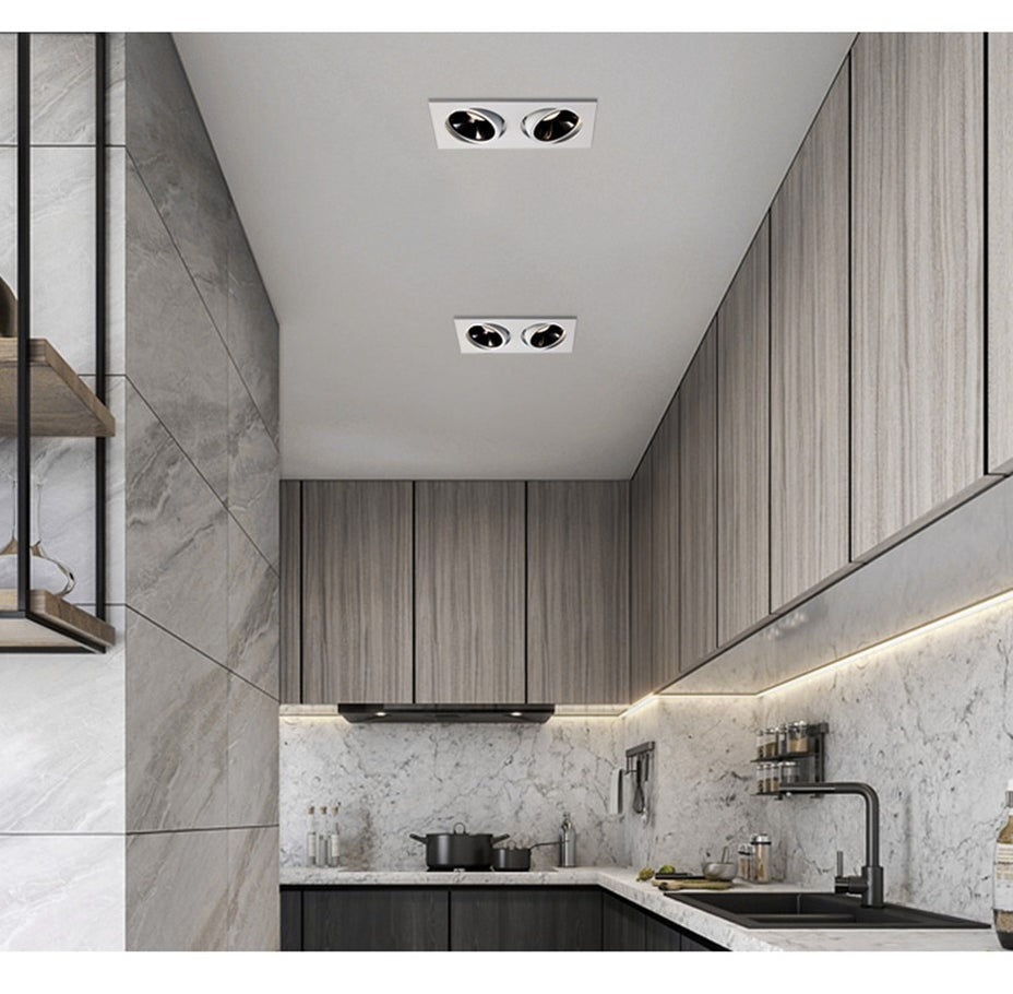 Single/Double Head LED Recessed Ceiling Spotlight — Level Decor